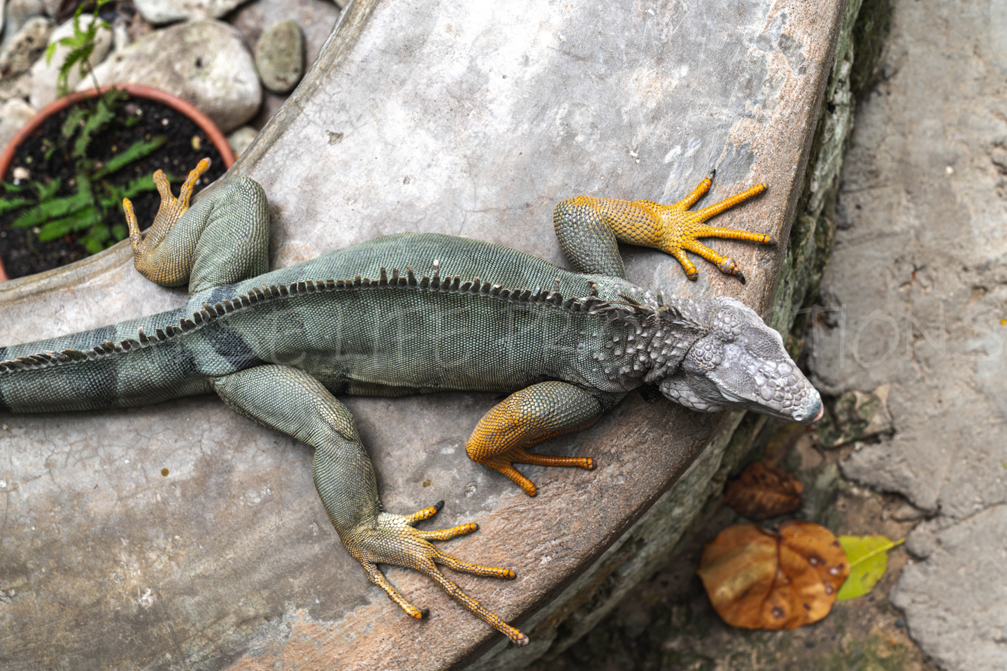 Lapse Life Productions: Time lapse, Video and Photography - PHOTOGRAPHY