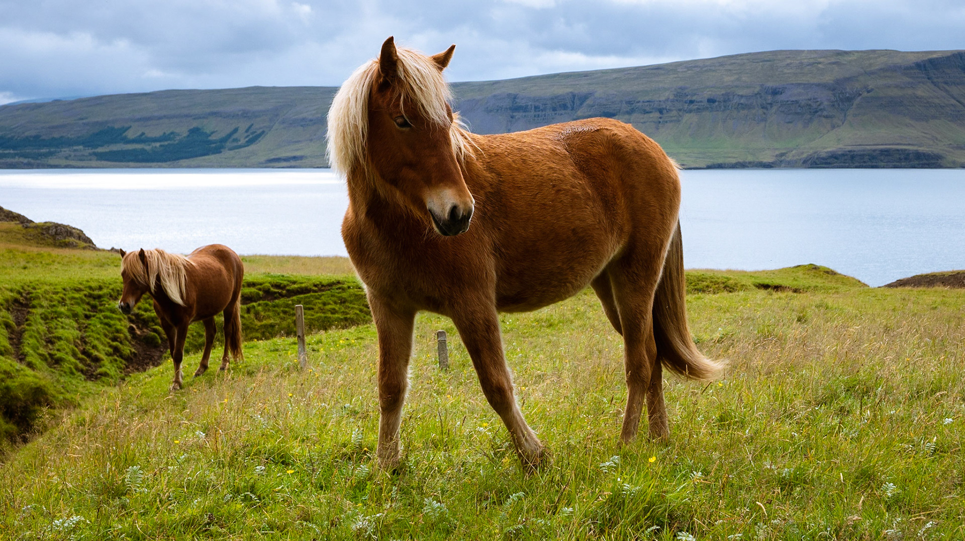 Eidograph | Photography - Wildlife