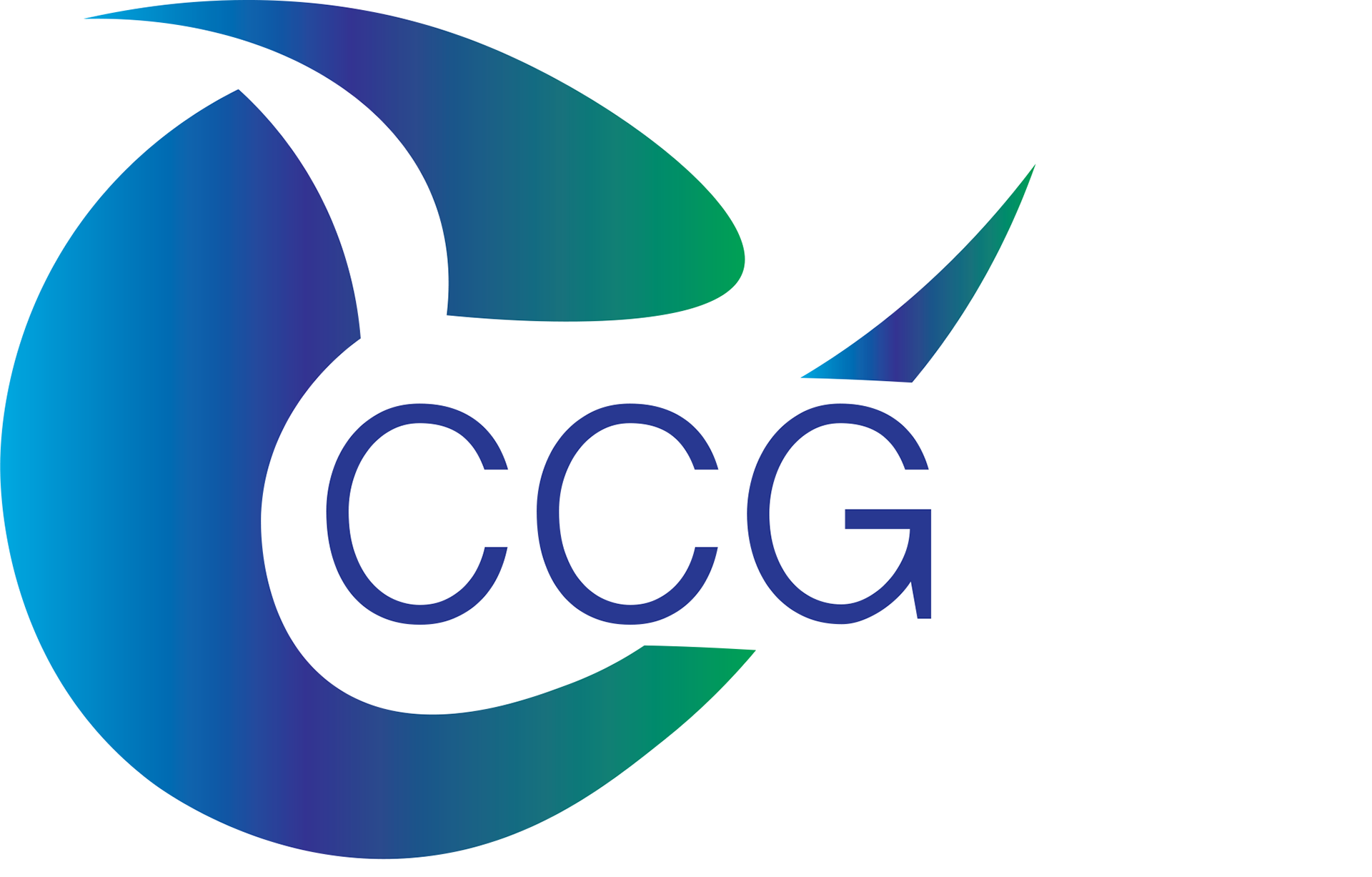 Amber Breeden - Chameleon Consulting Group Logos