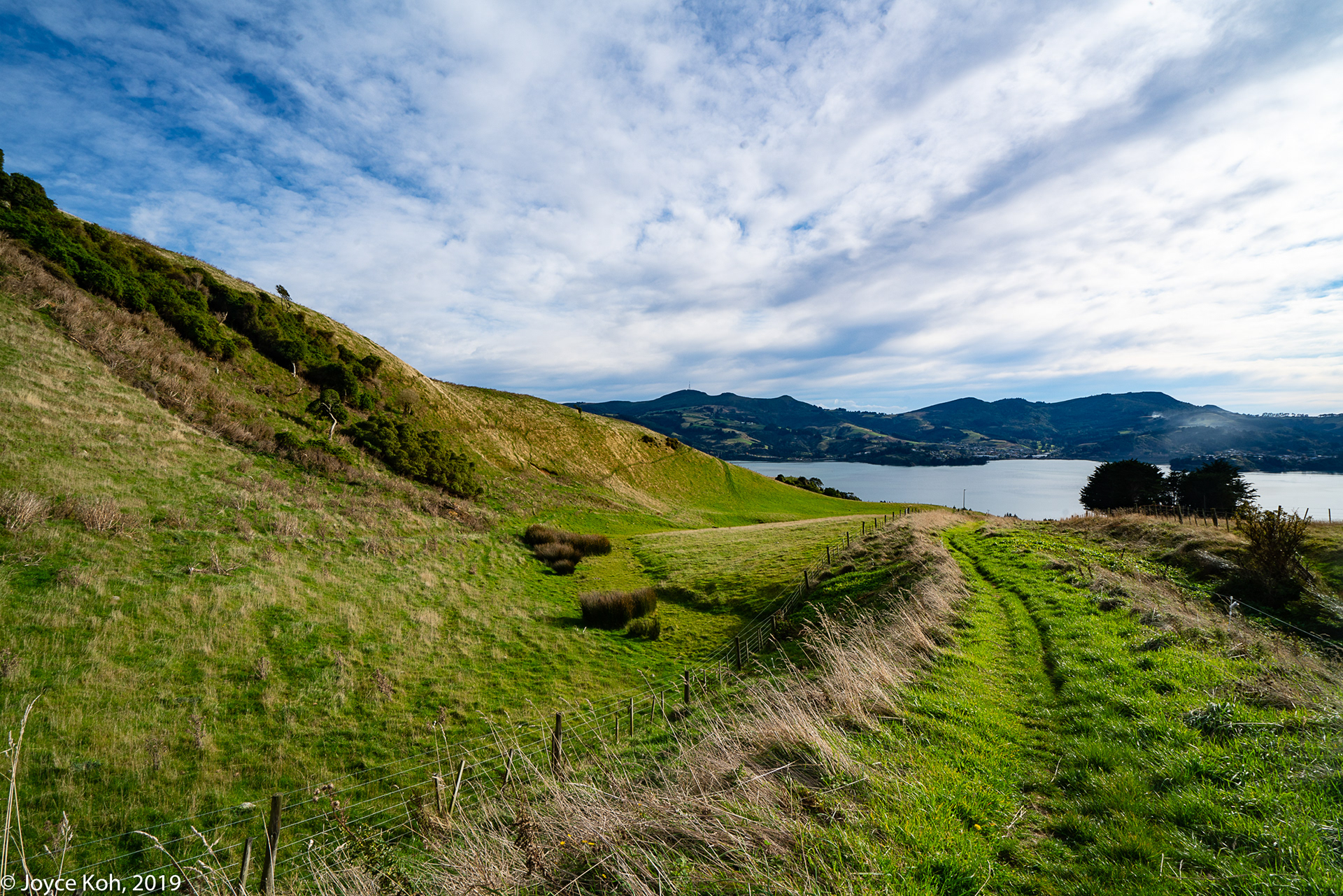Dunedin New Zealand Photos - Broad Bay