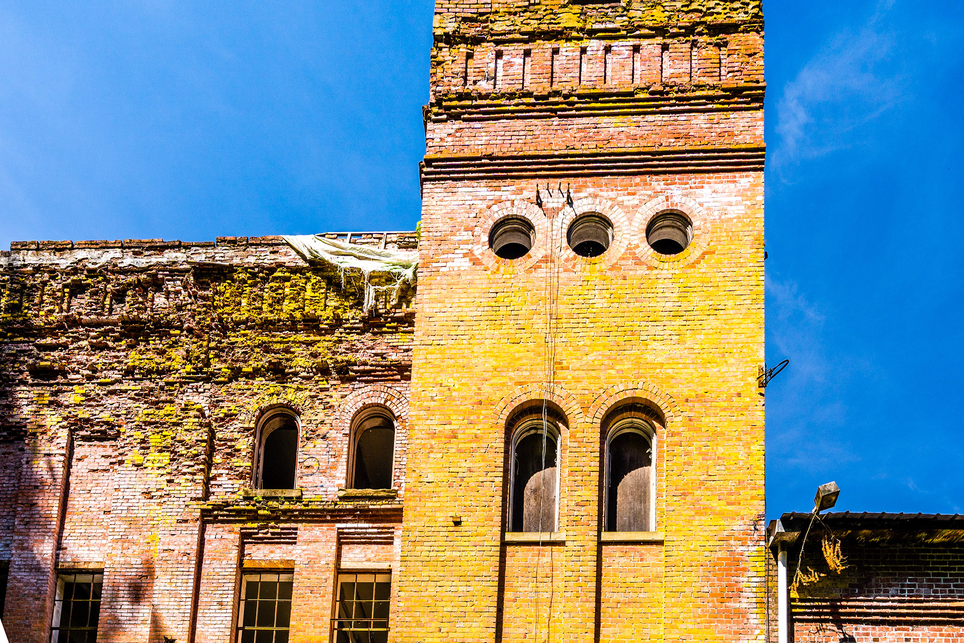 Ray Humphreys - Olympia