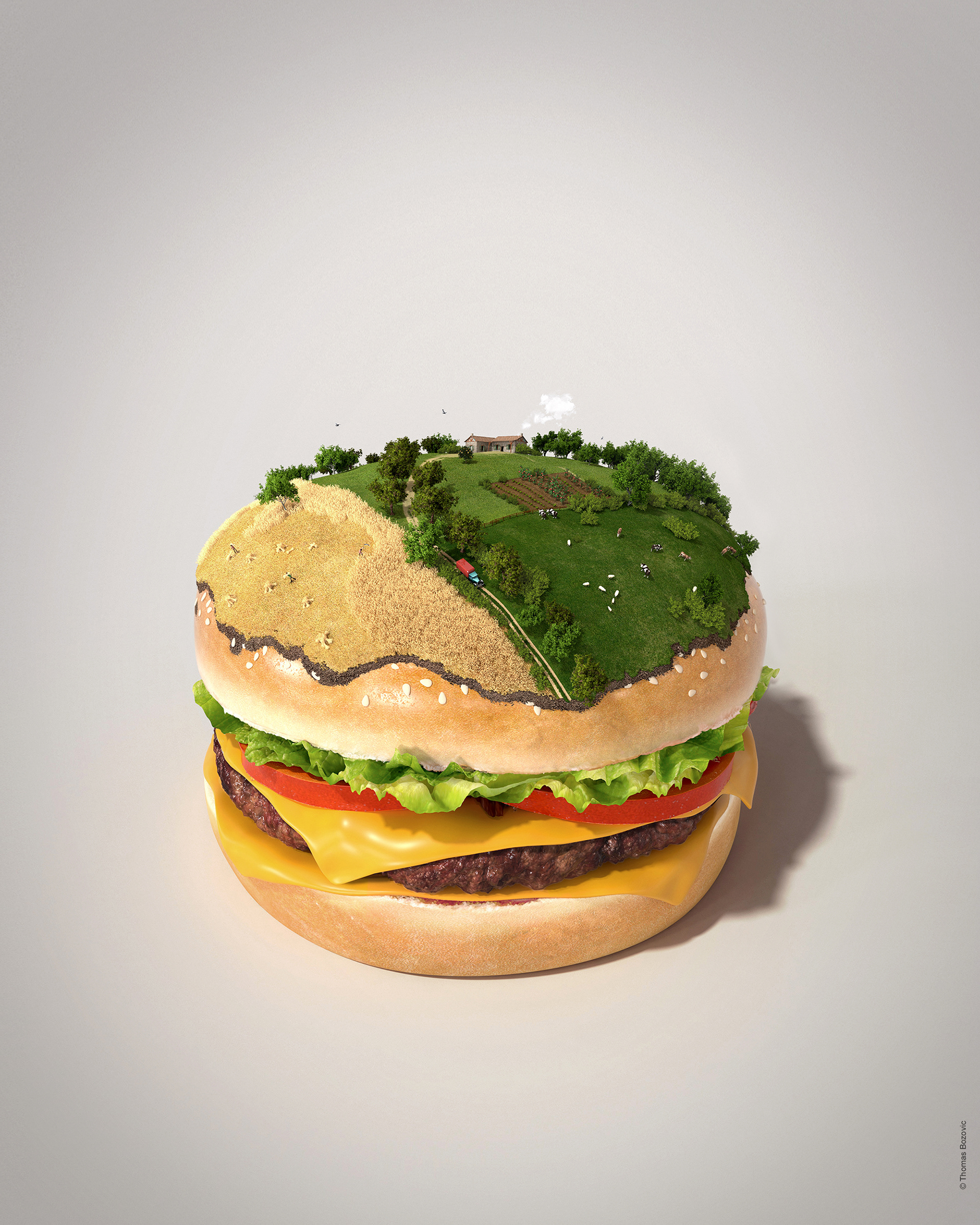 Thomas Bozovic - NATURE BURGER