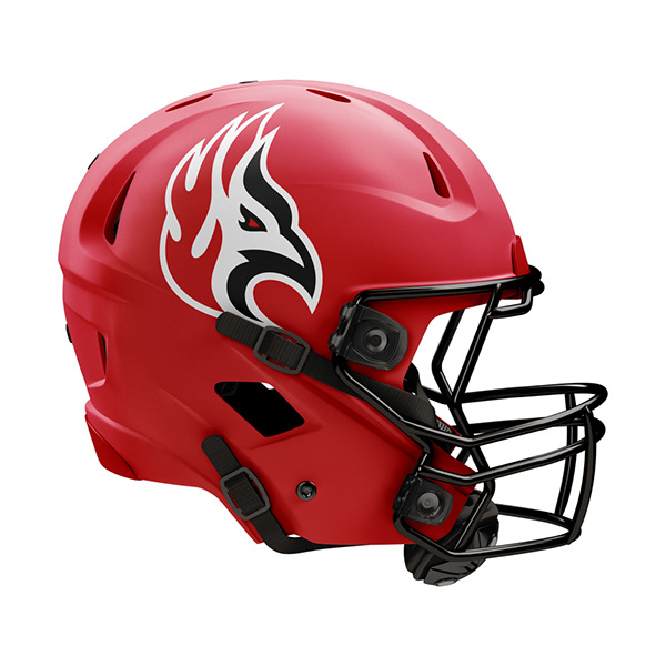 Patrick Cummings - Carthage College Athletics (2021)