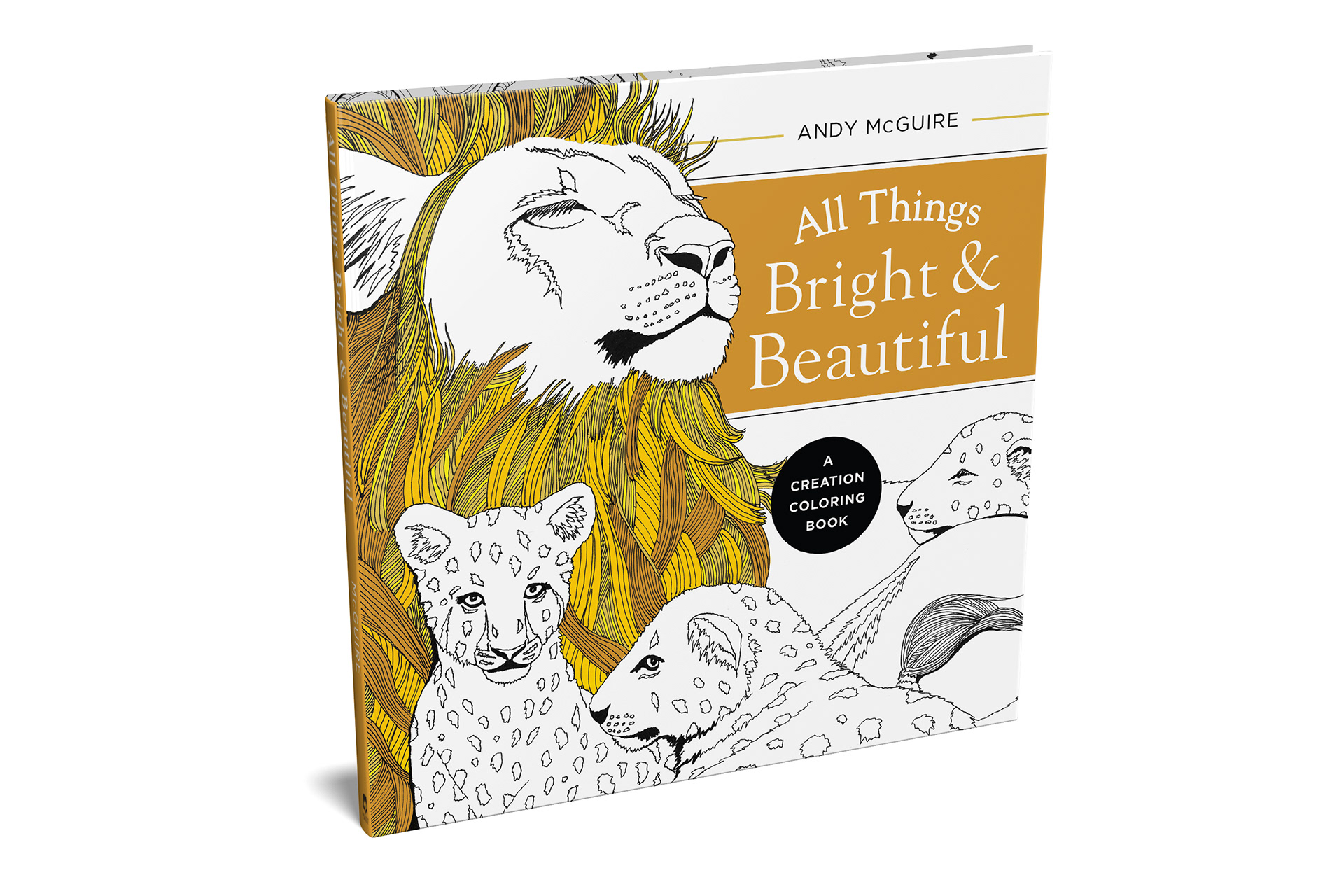 Dan Pitts - ALL THINGS BRIGHT AND BEAUTIFUL