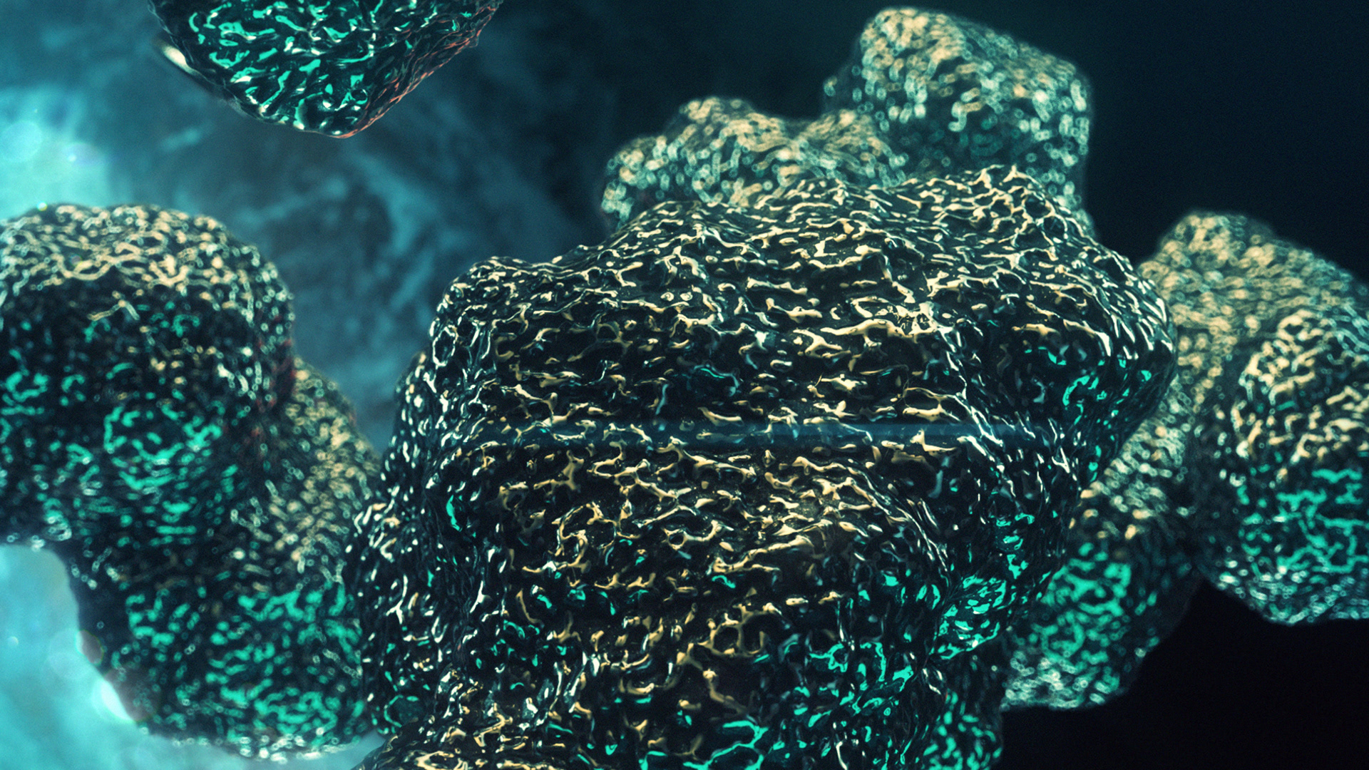 eric wada - 2018 Contact Festival