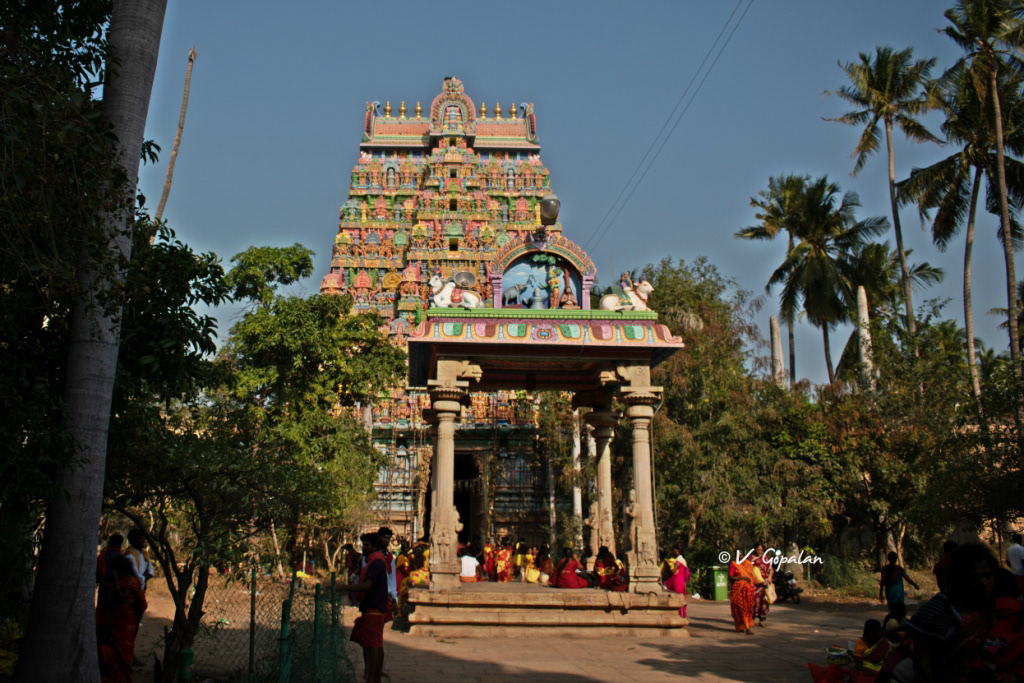 Venkataramanan Gopalan - Jambukeswarar Temple, Thiruvanaikaval