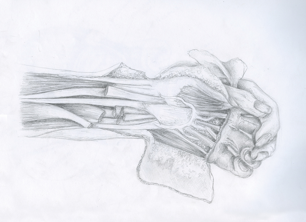 Samantha Maida - Cadaver Dissection