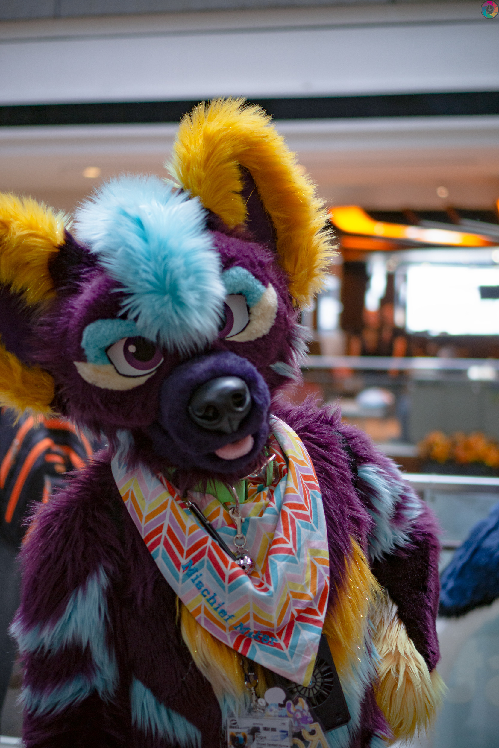 TJ Wagner - Midwest FurFest 2018