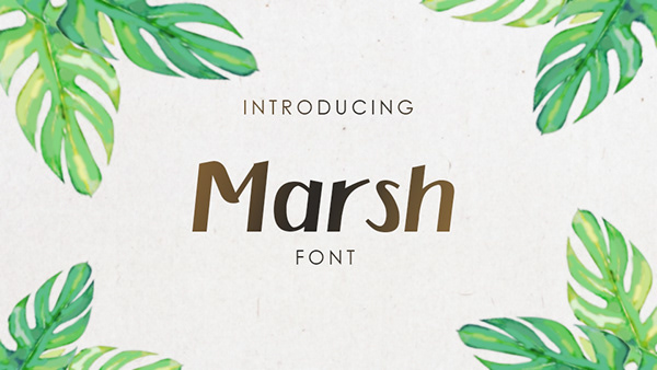 Jamie Wiley's Portfolio - Marsh Font