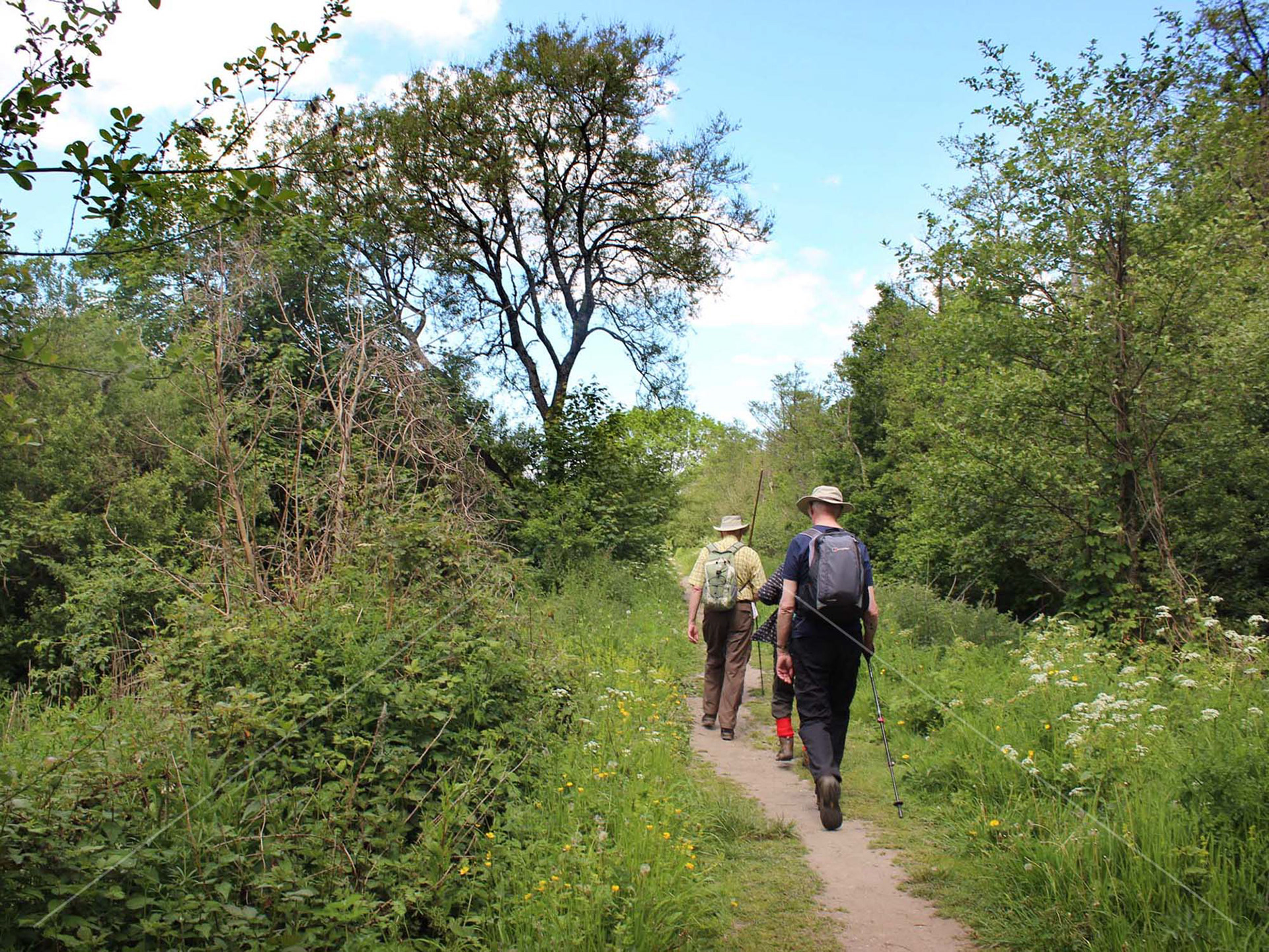 Photos of South Devon - Newton Abbot